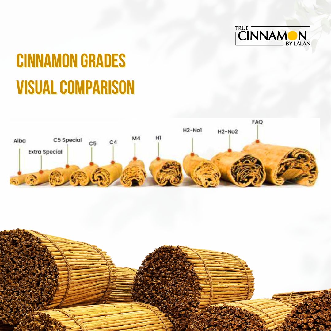 True Cinnamon by Lalan - Premium Ceylon Cinnamon Products
